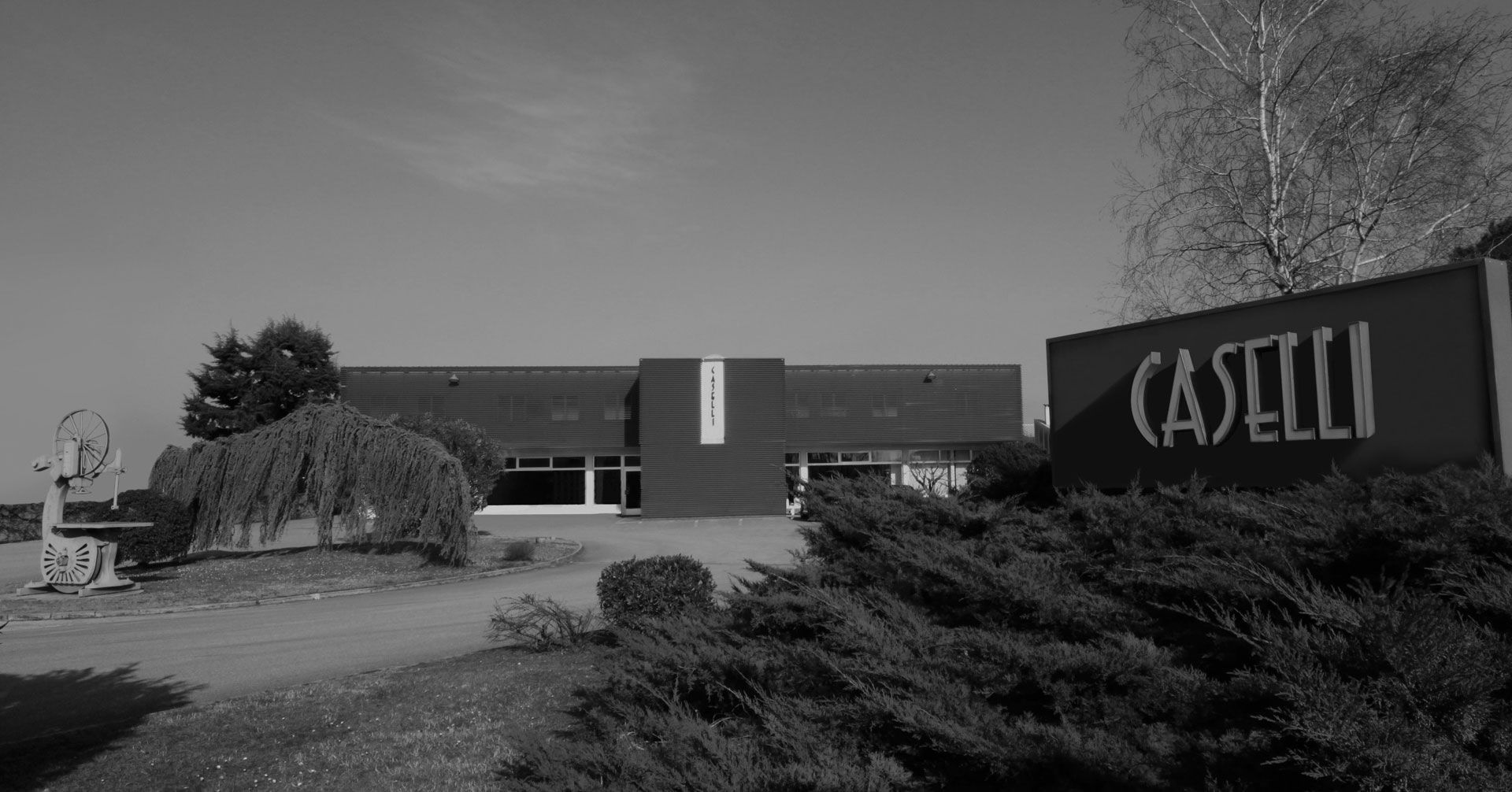 Macchinari per la lavorazione del legno - Caselli Group SpA